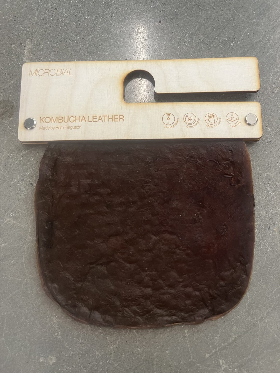 Microbial: Kombucha Leather | ExploraTec UDD